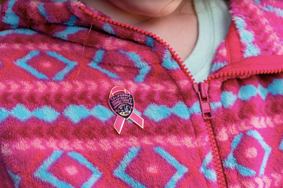 CDCR Arm Patch Pink Ribbon Series Lapel Pin #1 – Custom Pins & Buckles